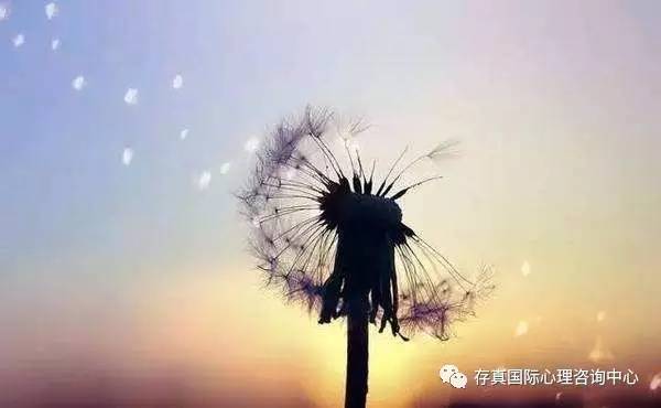 心理成熟的表现存真国际心理教育咨询中心新浪博客